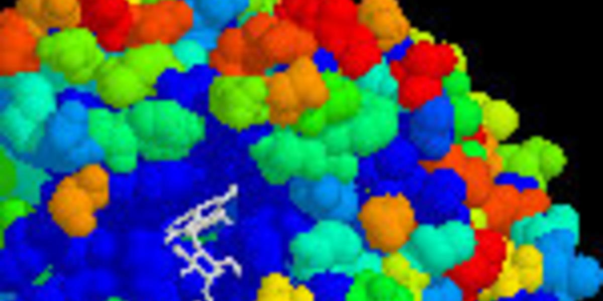 Amylase | transGEN Datenbank - Enzyme - transgen.de