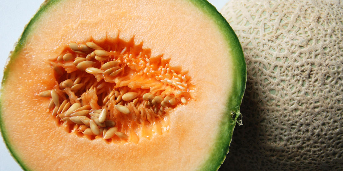 Melone | transGEN Datenbank - Pflanzen - transgen.de