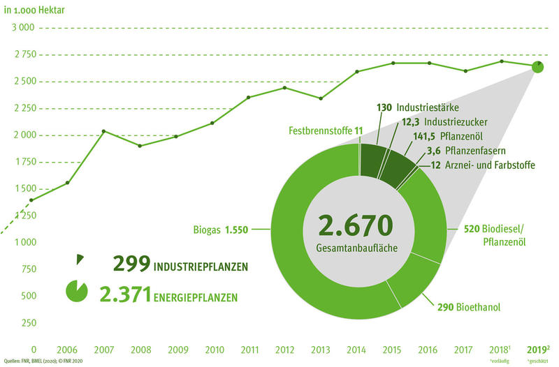 Bioökonomie: Nachwachsende Rohstoffe und Bioenergie aus Pflanzen - transgen.de